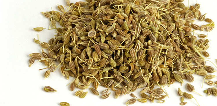 Anise's seeds